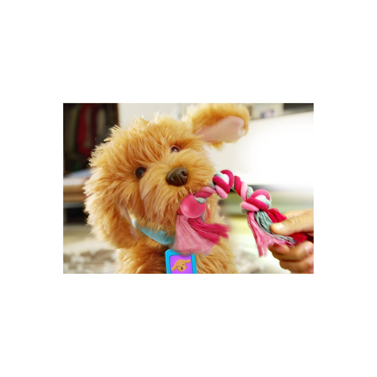 Moji the Lovable Labradoodle – Pooky Toys